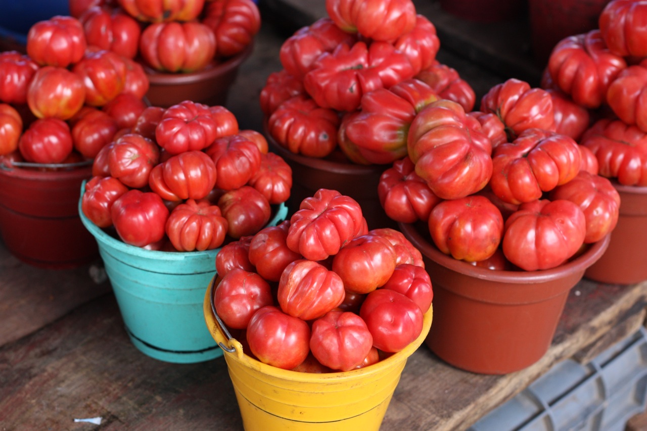 Wandering through Oaxaca’s Central de Abastos market